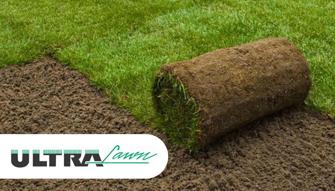 New Sodded Lawn Care Instructions ULTRALawn New Sodded Lawn Care Instructions ULTRALawn